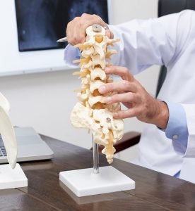 What is a Nerve Root? - Spine and Pain Clinics of North America